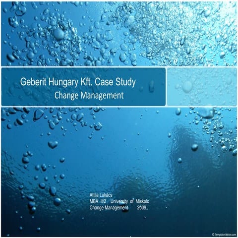 Change Management at Geberit Ltd. - Case Study | PPT