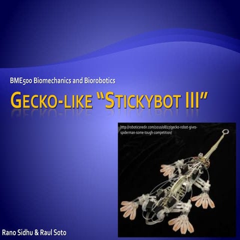 Gecko climbing robots | PPTX