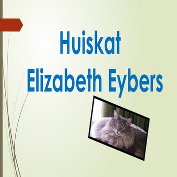 GEDIG-4-Huiskat.pptx afrikaans grade 10-12 | PPTX