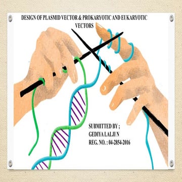 DESIGN OF PLASMID VECTOR & PROKARYOTIC AND EUKARYOTIC VECTORS | PPT