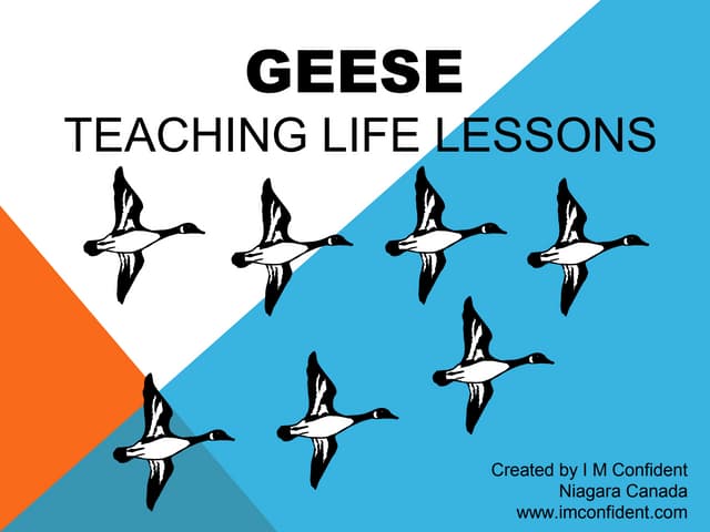 Leadership 101… Story of the Geese – Why geese fly in a V formation?