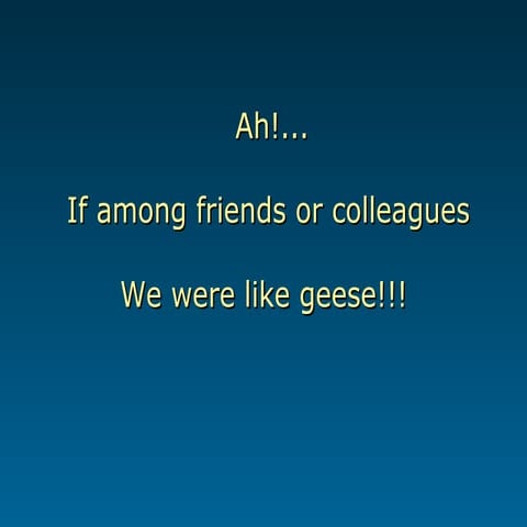 Geese leader | PPS | Birdwatching | Hobbies & Interests