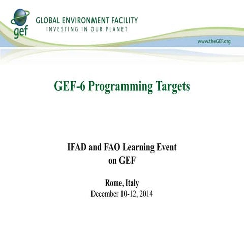 GEF-6 Programming Targets | PPT