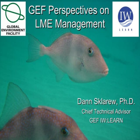 GEF Perspectives on LME Management - Dann Sklarew | PPT