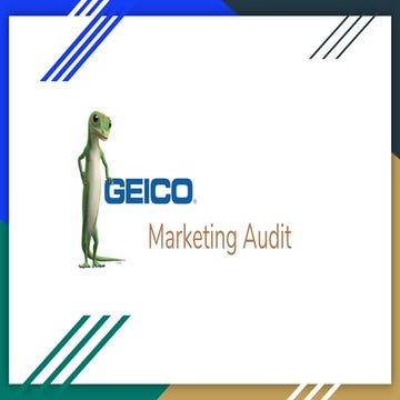 Geico Marketing Audit | PDF