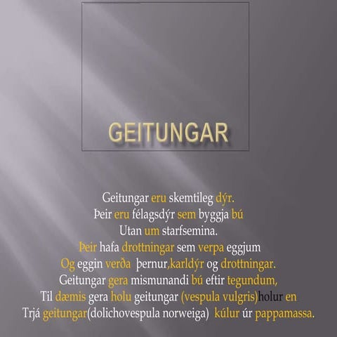 Geitungar kynning bjarki | PPT