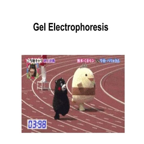 Gel Electrophoresis in Forensic Sciences | PPTX