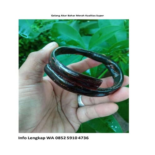 Gelang Akar Bahar Merah Size Kantoran Super