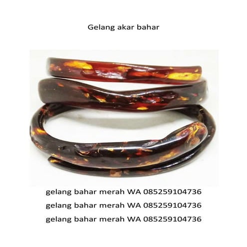 Gelang akar bahar | DOCX