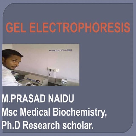 Gel electrophoresis | PPT