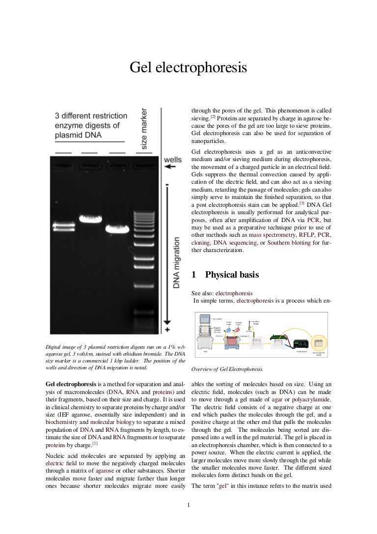 Gel electrophoresis