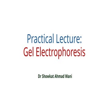 Gel Electrophorosis, A Practical Lecture.pptx