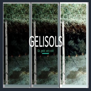 Gelisols.pptx