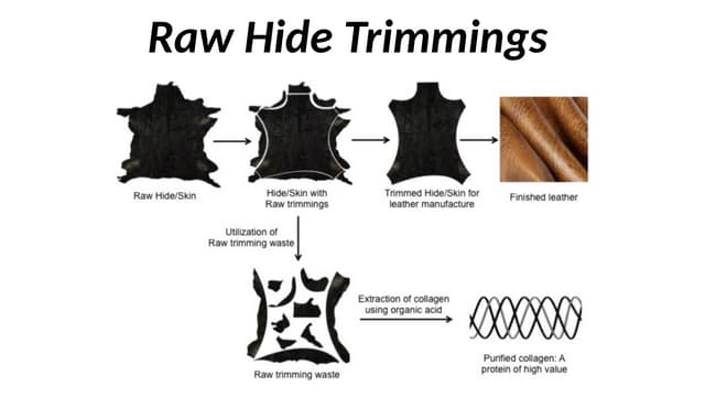 Unit 2-Materials and methods of Tanning | PPTX