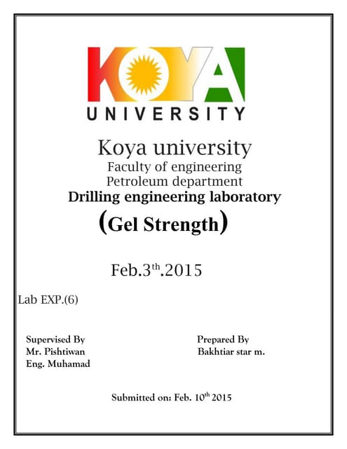 Fann VG meter | DOCX