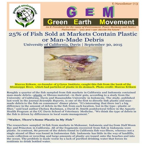 Gem 7-3-plastic in my fish | DOCX