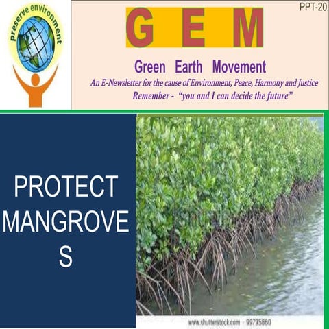 Gem ppt-20-protect mangroves | PPTX