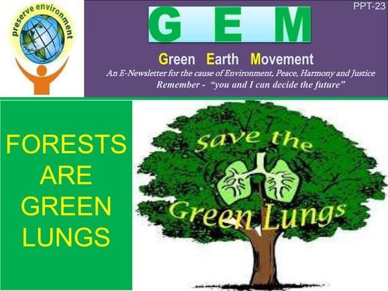 Deforestation - Causes, Effects and Solution | PPT