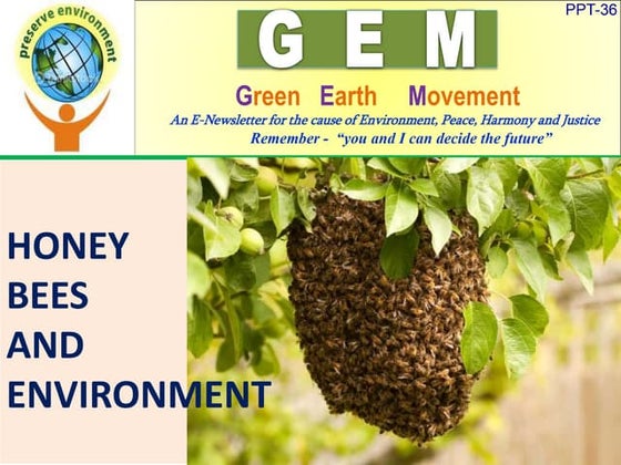 Effect of Climate Change on Bees & Mitigation .pdf