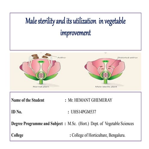 Morphology_and_growth_stages_of_Rice[1].pptx