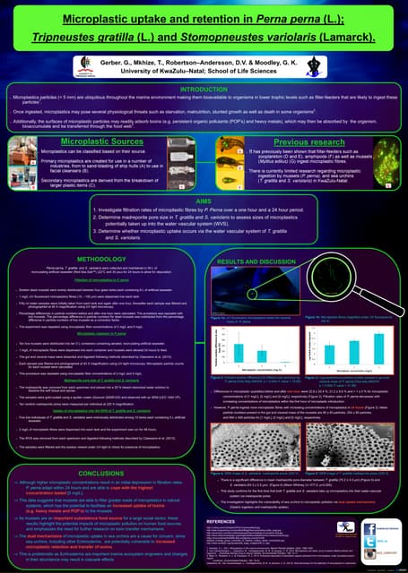 Microplastic Pollution - Presentation | PPTX | Environment | Science