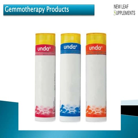 Gemmotherapy products | PPTX