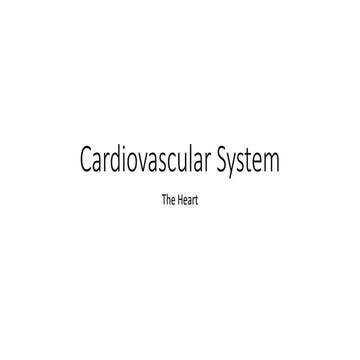 General Physiology The Physiology Of The Heart Pptx