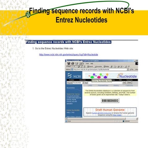 Finding sequence records with NCBI's Entrez Nucleotides | PPTX