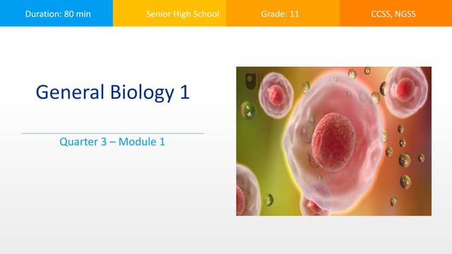 Lesson 3 Prokaryotic vs Eukaryotic Cell | PDF