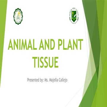 GENBIO1_PLANT AND ANIMAL TISSUES.AND THEIR FUNCTIONSpptx | PPTX