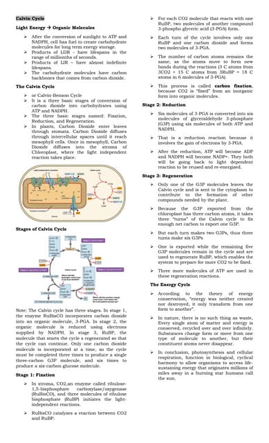 CALVIN CYCLE (C3 - PATHWAY).pptx | Chemistry | Science