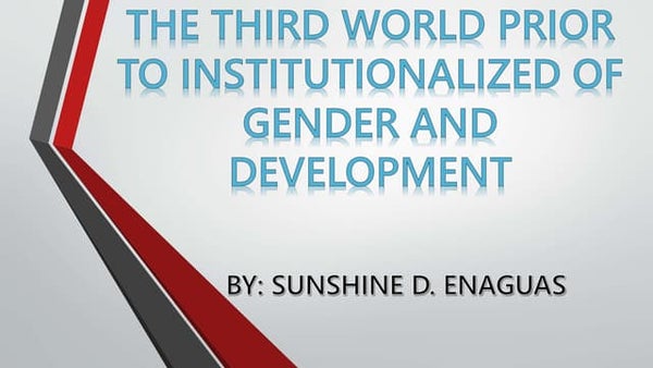 Gender Mainstreaming Concepts And Approaches