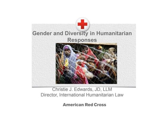 Typology of engagement of the international humanitarian system with ...