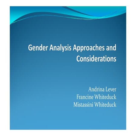 Gender based equity approach | PDF | Economy | Business and Finance