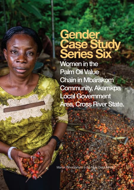 Maize: Solutions to Pests and Diseases (Pidgin) | PDF