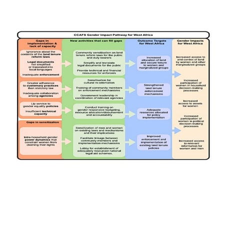 Gender Impact Pathway West Africa | PDF