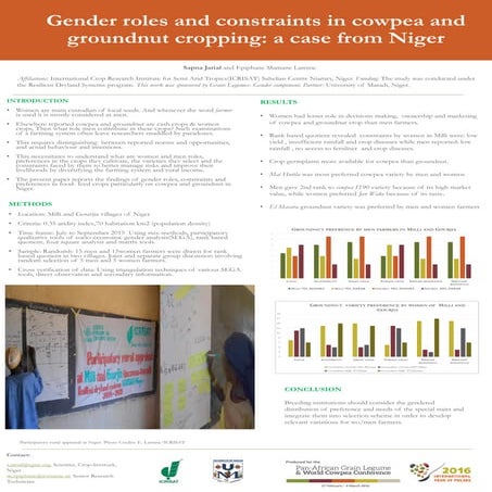 Gender roles and constraints in cowpea and groundnut cropping a case ...
