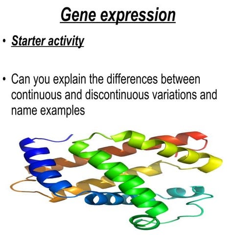 Gene Expression Lesson 2 | PPT