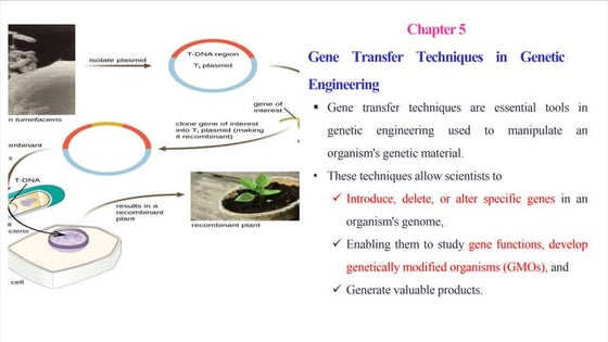Gene transfer methods | PPTX | Biological Sciences | Science