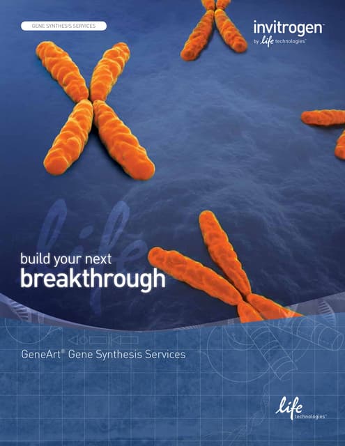 Breast Cancer Resistance Protein | PPT