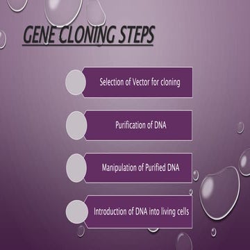 Gene cloning steps | PPT
