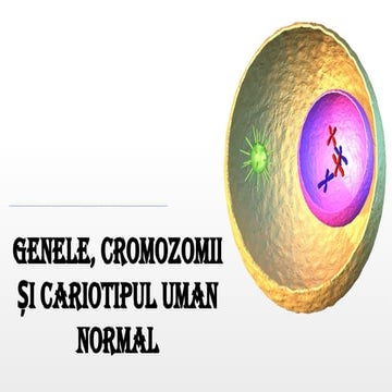 gene_cromozombbi_cariotipul_uman (2).pptx