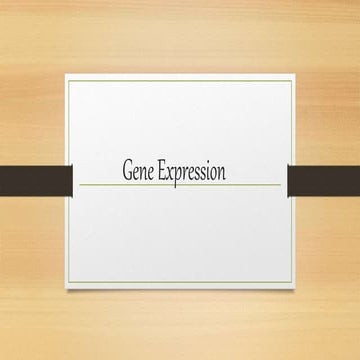 Gene Expression-1.pptx | Programming Languages | Computing