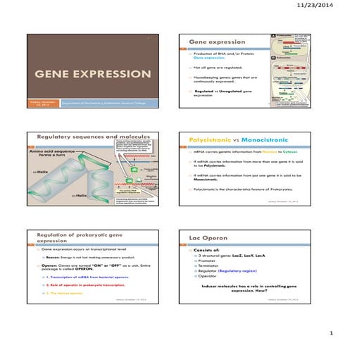 Regulation of gene expression | PPTX