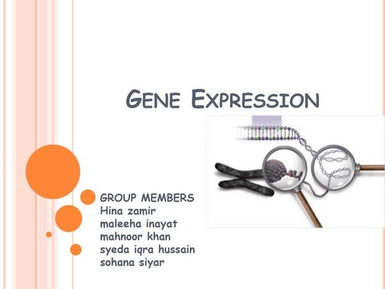 gene expression.ppt