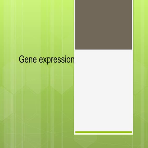 Gene expression | PPTX