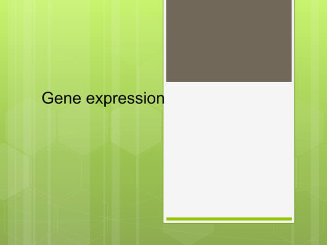 Regulation of gene expression. | PDF