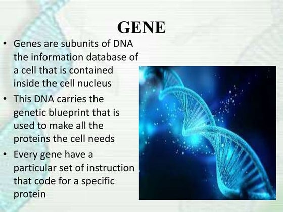 GENE EXPRESSION AND REGULATION.pptx