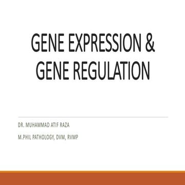 GENE EXPRESSION AND REGULATION.pptx