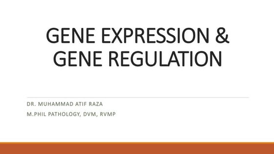 GENE EXPRESSION AND REGULATION.pptx | Biological Sciences | Science